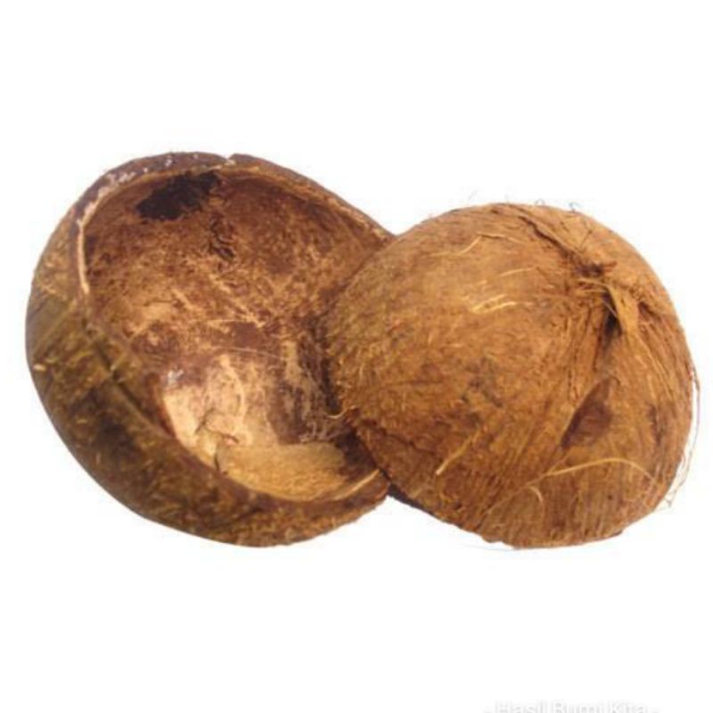 Capa De Coco 500gr Para Artesanato E Jardim Suprimentos | Shopee Brasil