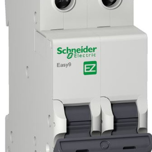 Disjuntor Schneider Easy9 Bifásico 2P 63A Curva C 5Ka EZ9F33263 | Shopee Brasil