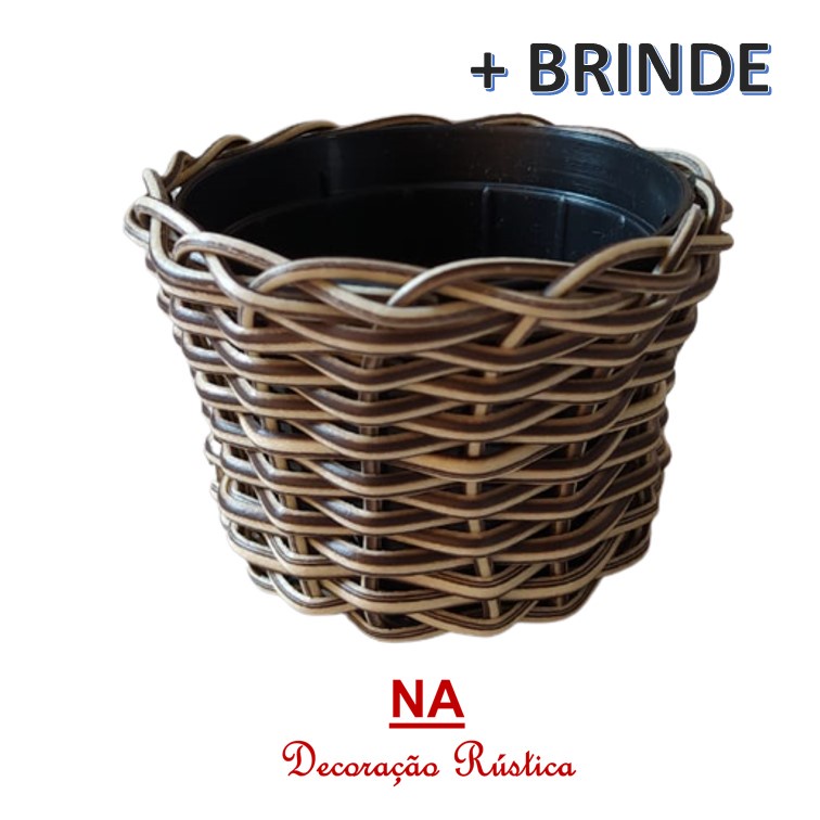 10 vasinho de planta pequeno flor vime cacto suculenta muda 9 cm de ...