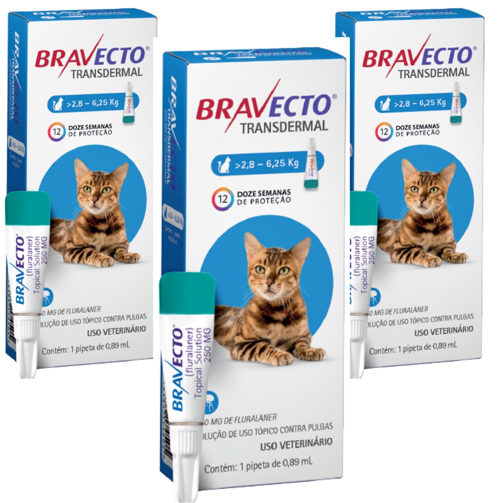 kit C/03 Antipulgas Bravecto Gatos Transdermal 2,8 - 6,25 kg Envio em 24 hras | Shopee Brasil