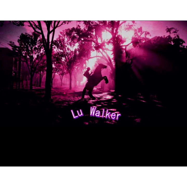 Quadro Red Dead Redemption Lu Walker 20X30 cm. | Shopee Brasil