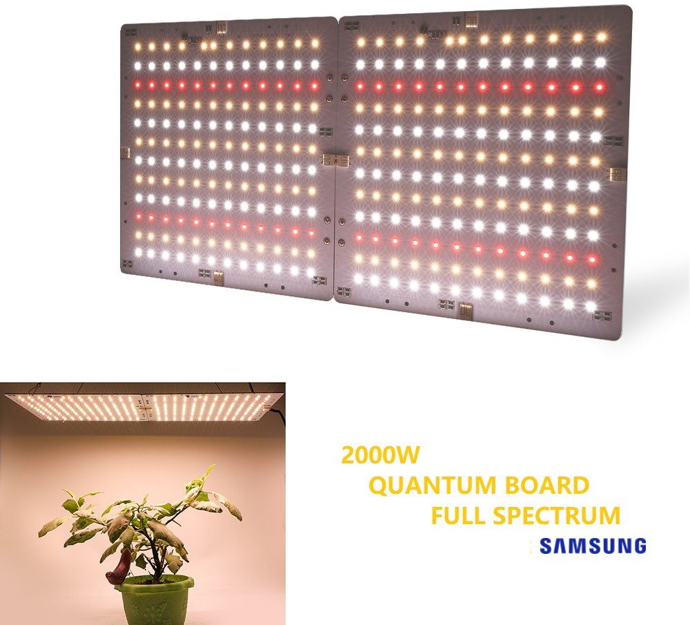 Painel Grow Quantum Led 2000w (samsung Full Spectrum) Cultivo Indoor Estufa | Shopee Brasil
