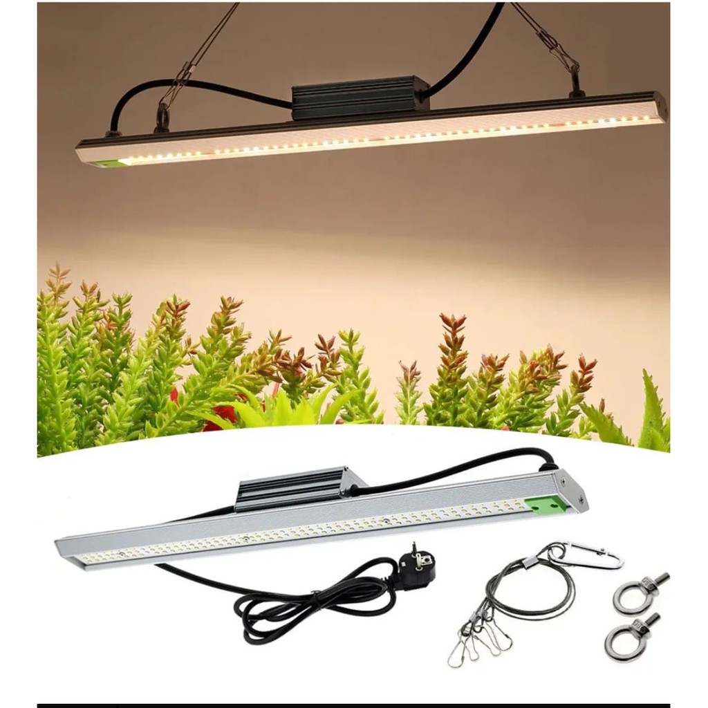 Quantum Board 50W Full Spectrum De Qualidade | Shopee Brasil