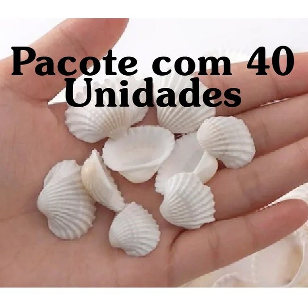 Concha do Mar - Conchas para Decoração - Aquários - Conchas Naturais ...