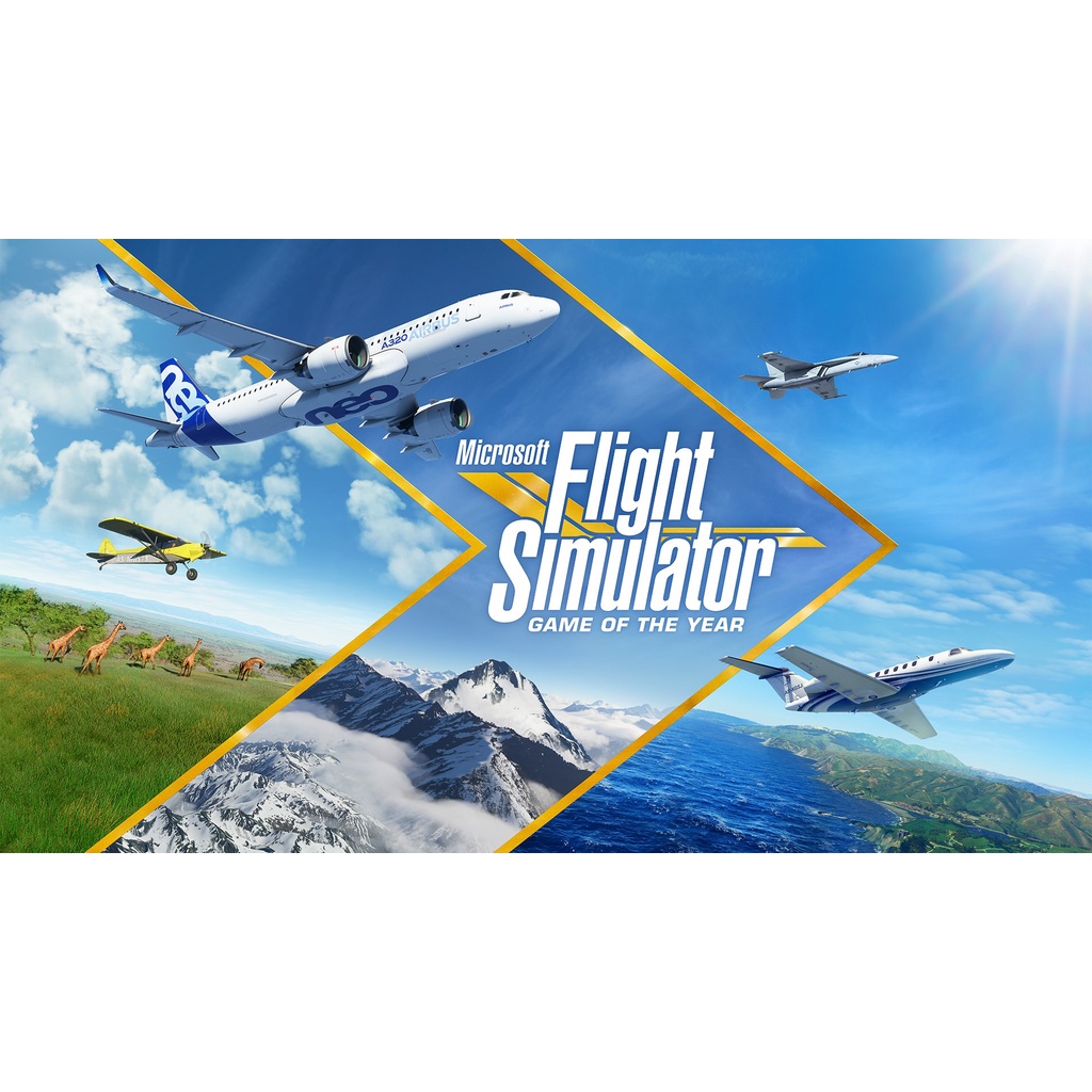 Microsoft Flight Simulator 2020 | Shopee Brasil