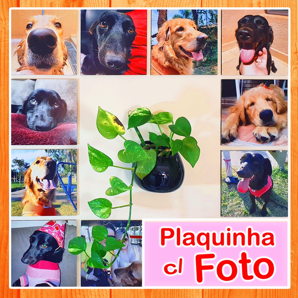 Plaquinha c/ FOTO - Tipo Azulejo (6 Unid) | Shopee Brasil