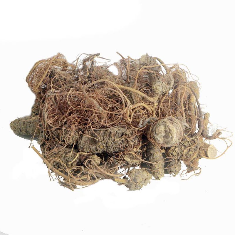 Carapia Raiz (20 unidades) | Shopee Brasil