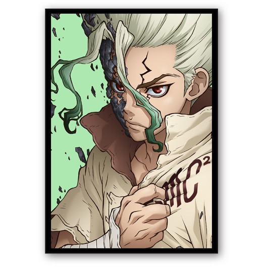 Poster SENKU, Anime Dr Stone (placa decorativa - MDF - 28X40cm ...