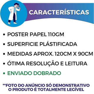 Poster A Boca Humana Mapa Anatomia Corpo Humano Medicina dentes ...