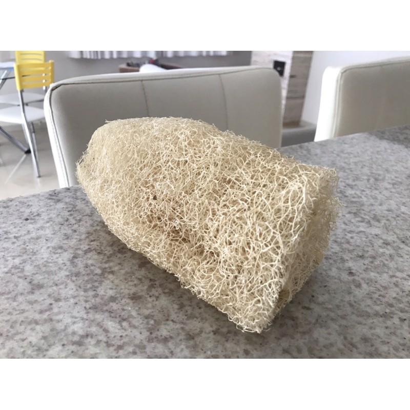 5 Buchas Vegetais| Bucha Natural 100% 10CM | Shopee Brasil