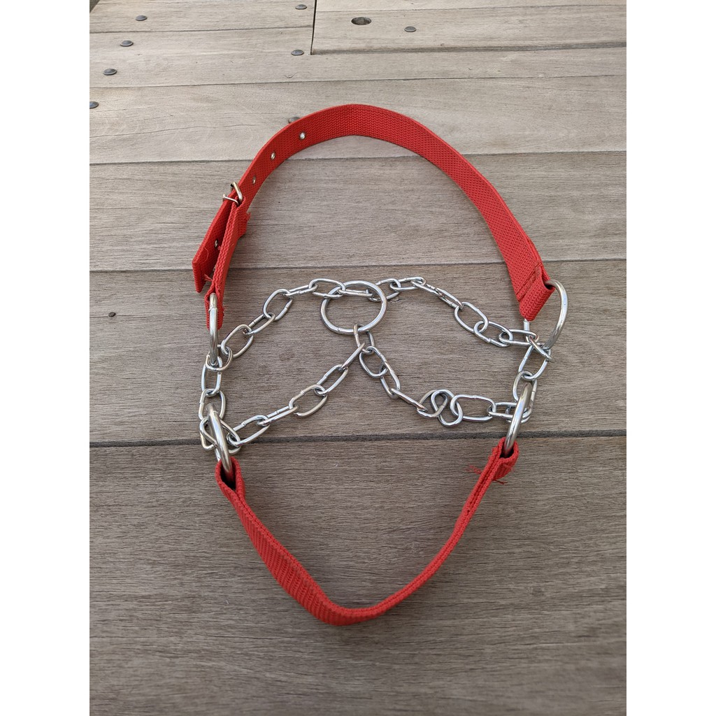 cabresto de boi touro novilhas e vaca com regulagem e corrente | Shopee ...