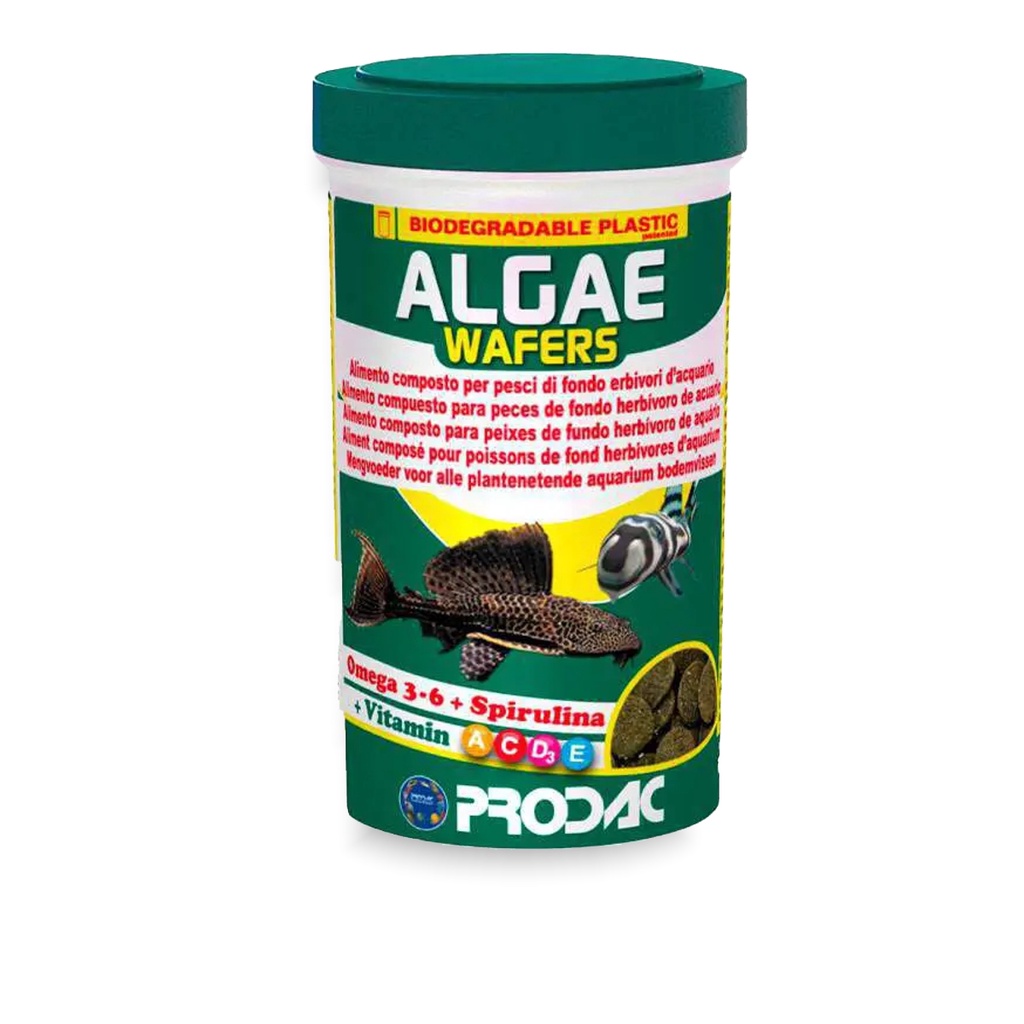 Ração Para Peixes Ornamentais Algae Wafers 125g Prodac | Shopee Brasil