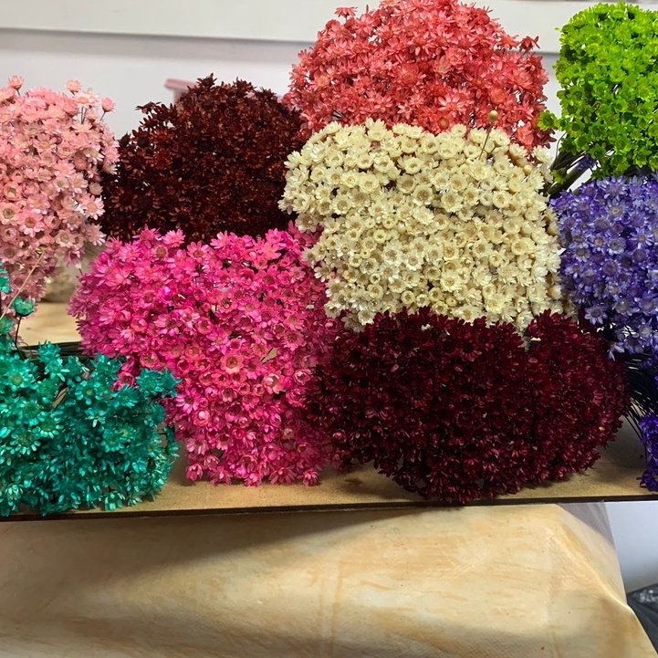 Flor Seca Sempre Viiva - 5 Ramos Flor desidratada - 200 Florzinhas ...