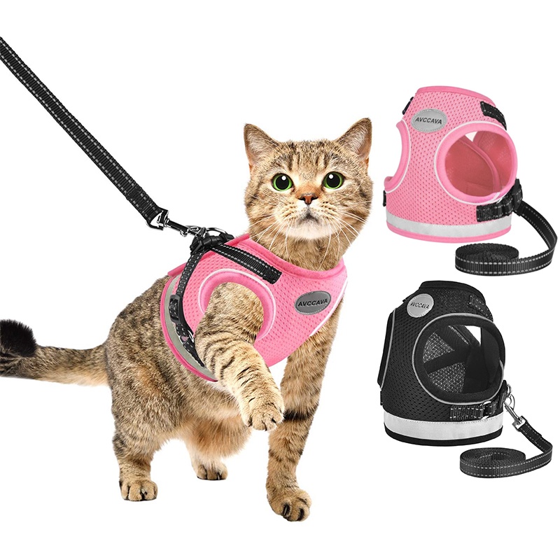 (NUOMA) Arnês E Trela Do Gato Para Andar Gatinho Coletes À Prova De ...