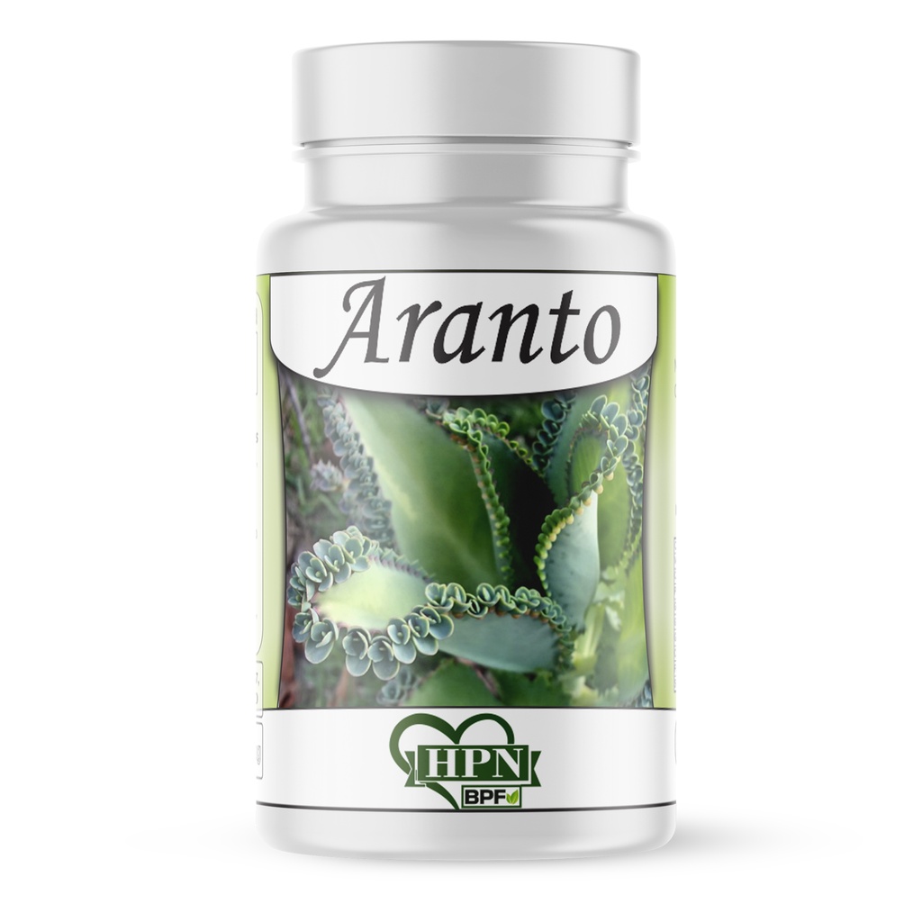 Aranto Kalanchoe Planta Medicinal Extrato Seco Puro Planta Medicinal ...