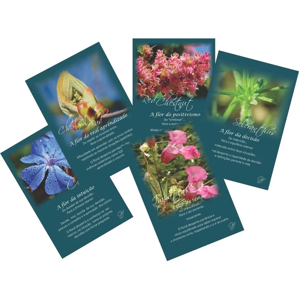 Cards Cartas Florais De Bach As Flores De Bach | Shopee Brasil