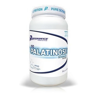Iso Palatinose 600g Performance Nutrition | Shopee Brasil