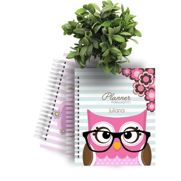 PLANNER PROFESSORA 17X24CM PERSONALIZADO | Shopee Brasil