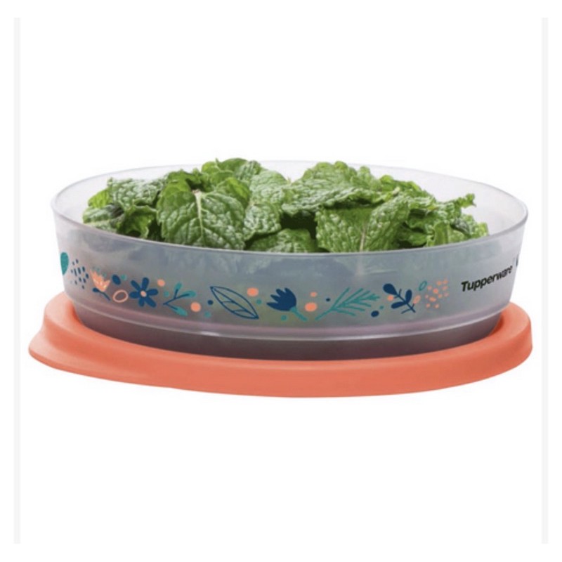 Tupperware Refri Line Redondo Floral Fresh 200ml | Shopee Brasil