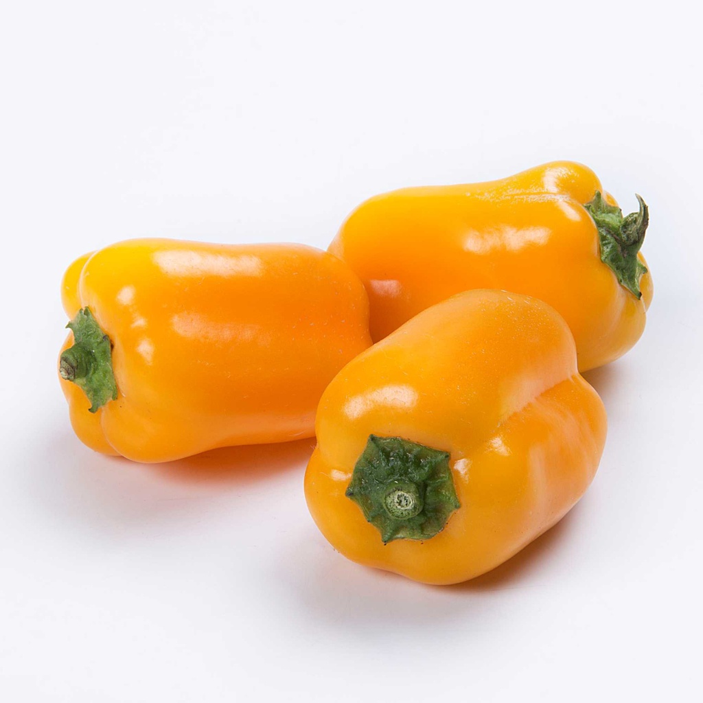 Pimentao Mini Kalu Hibrido - 22mg / 5 Sementes | Shopee Brasil