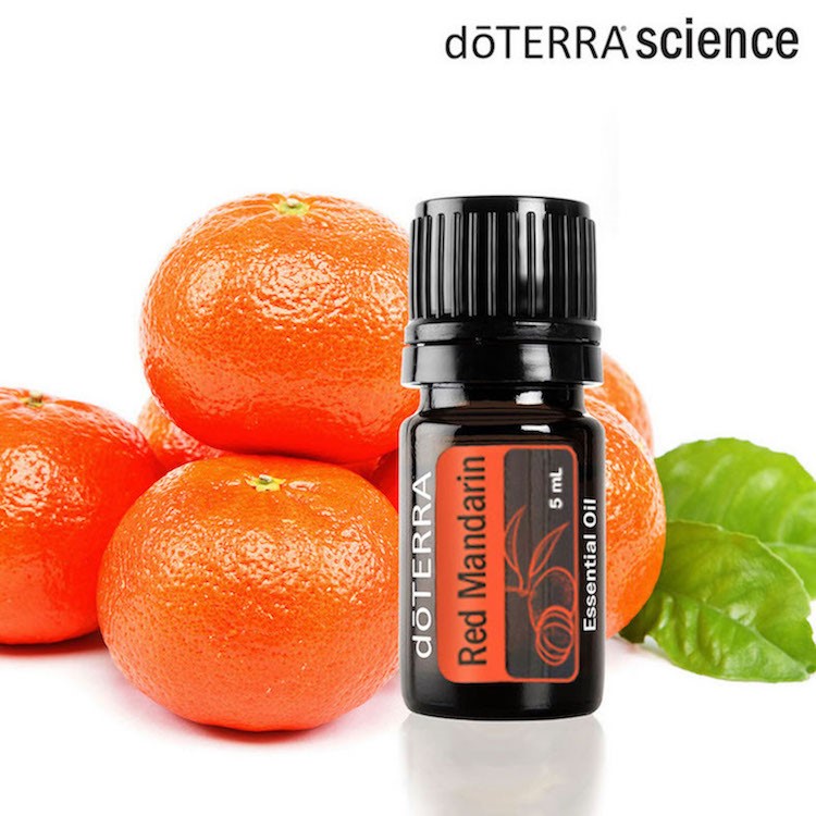 Óleo Essencial dôTerra Red Mandarin 5 ml | Shopee Brasil