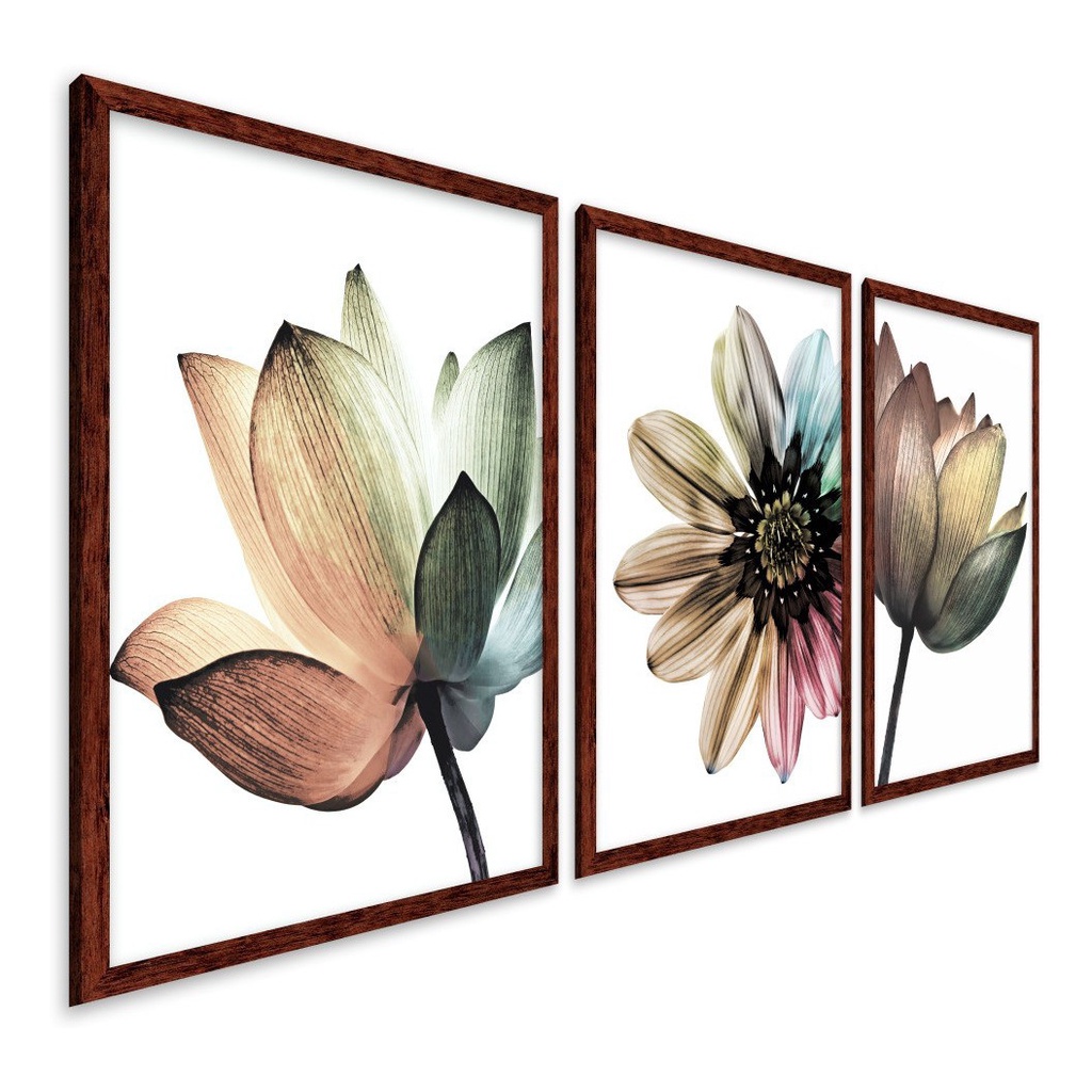 Quadros Decorativos Borda Hall Flores Flor Floral Colorida REF:045K ...