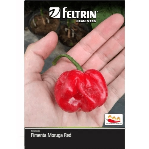 Sementes de Pimenta Moruga Red - Feltrin | Shopee Brasil