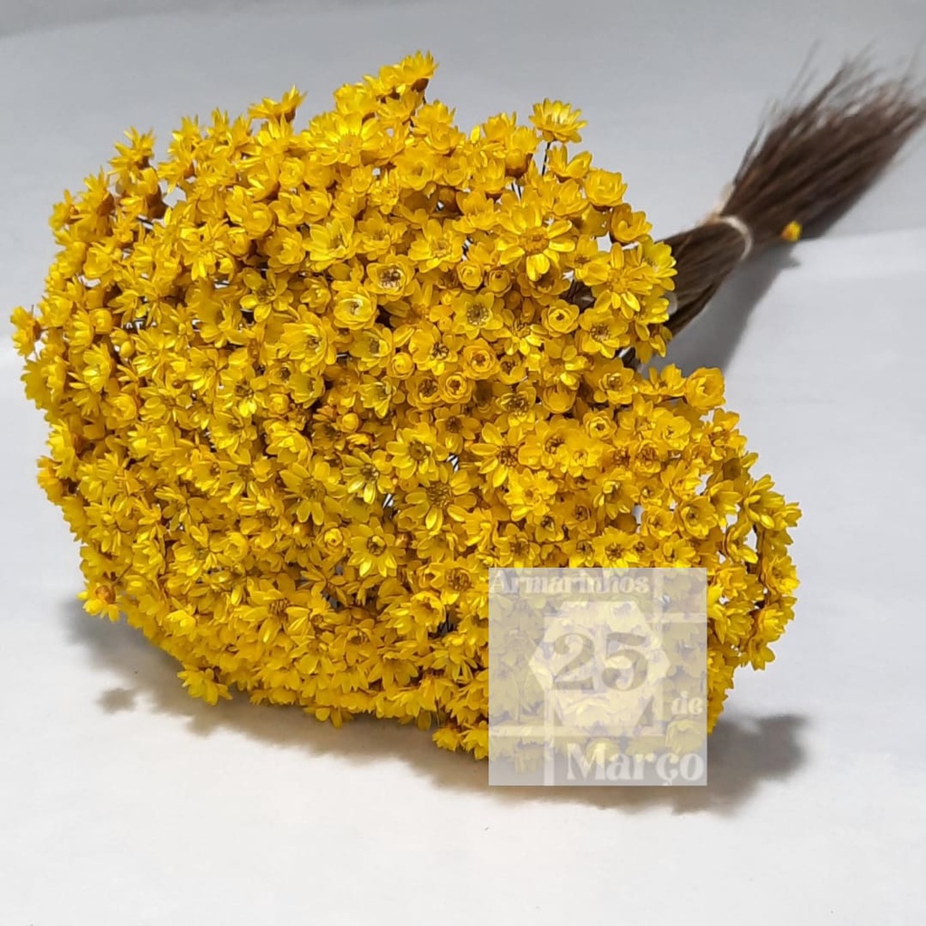 1200 mosquitinhos Flor Sempre Viva Natural - A 25 DE MARÇO | Shopee Brasil