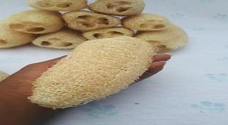 Bucha Vegetal Natural Inteira Esponja Ecológica Para Louça e Banho ...