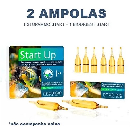 2 Ampolas Prodibio Start Up Biodigest Start +Stop Ammo Start | Shopee ...