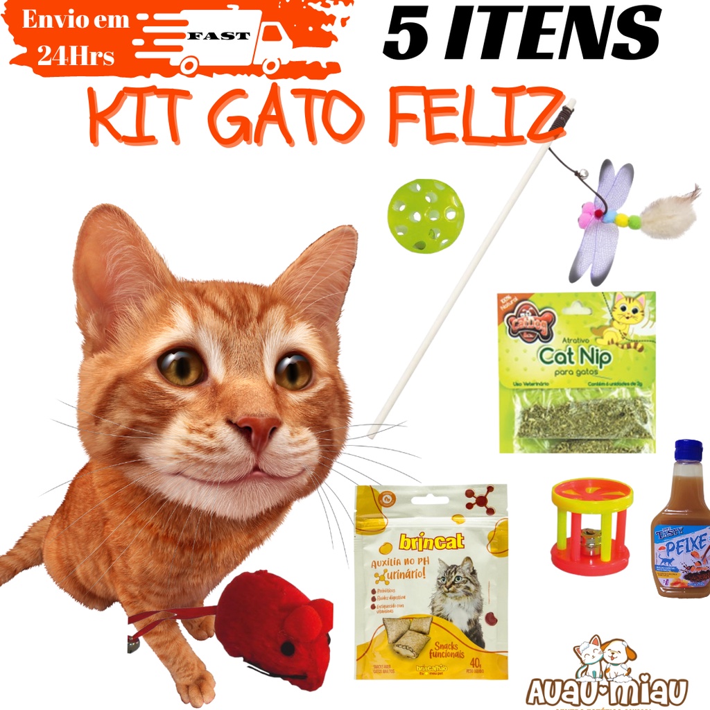 Kit Gato Feliz 5 Itens Para Diversão do Gato com Brinquedo, Petiscos ...