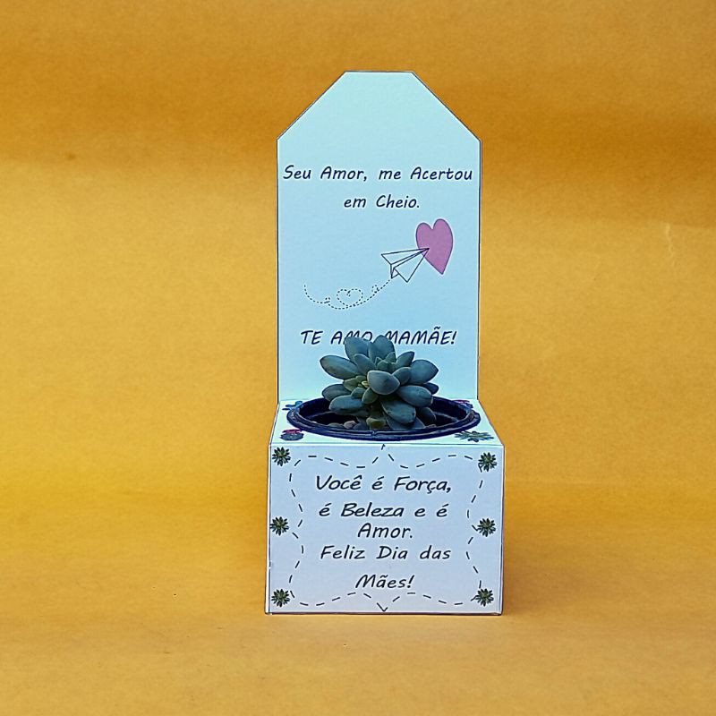 caixinha personalizada lembrancinhas, 10 unidades. caixinha para brinde ...