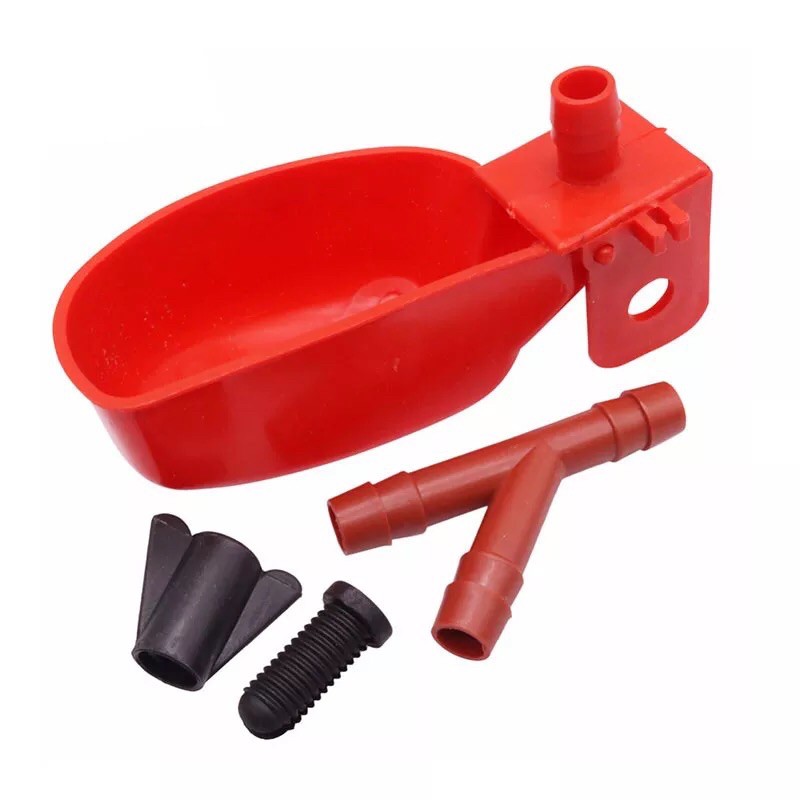 Kit 5 Bebedores Automático Concha Copinho Galinhas Pássaros Franco ...
