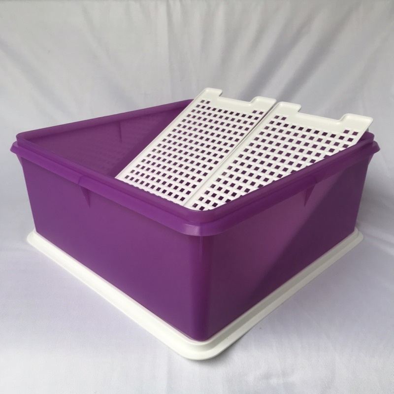 Tupperware Super Caixa 10L | Shopee Brasil