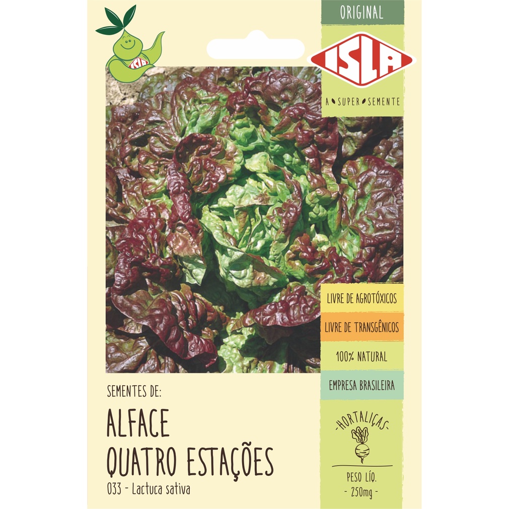 Sementes de Alface Crespa, Lisa, Mimosa, Quatro Estações - Semente Isla ...