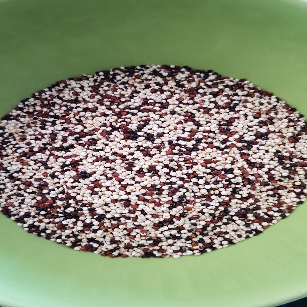 quinoa mista em grãos selecionados | Shopee Brasil