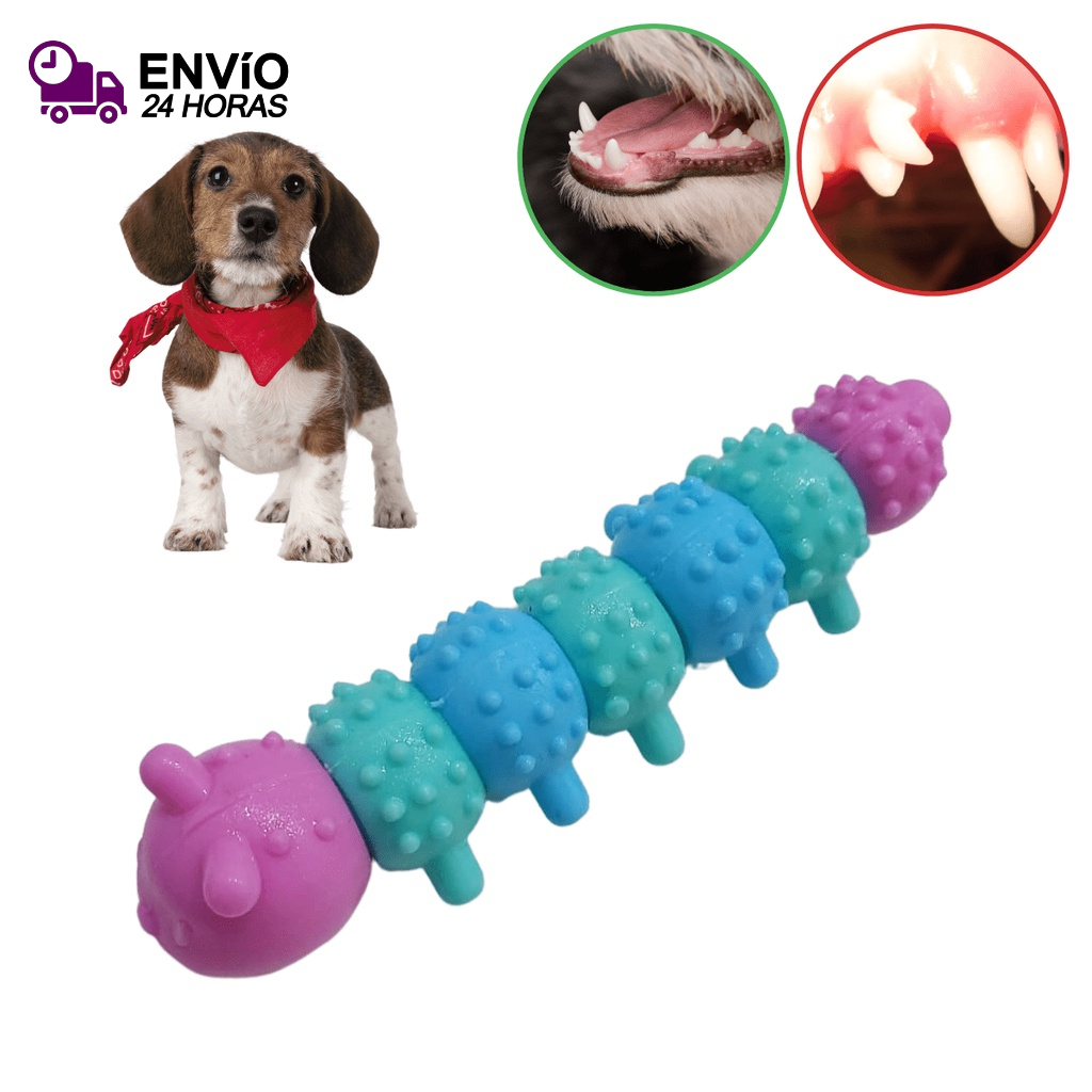 Brinquedo Para Cachorro Mordedor Brinquedo De Cachorro Filhotes ...