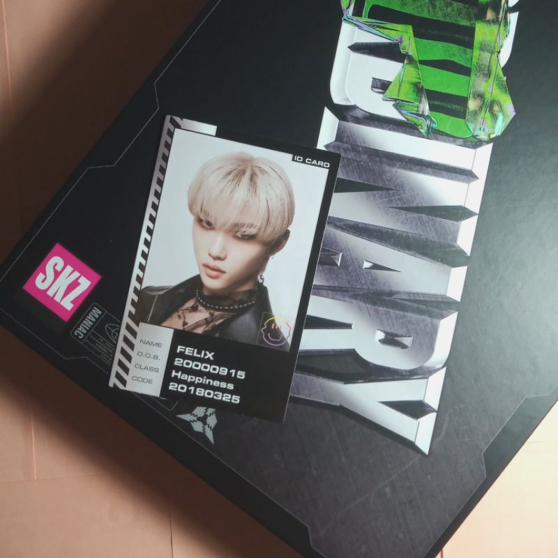 Stray Kids Photocard - Felix (Oddinary - ID CARD) | Shopee Brasil