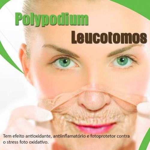 Polypodium Leucotomos 250mg : Ativo do Helioral 180 Cápsulas | Shopee ...