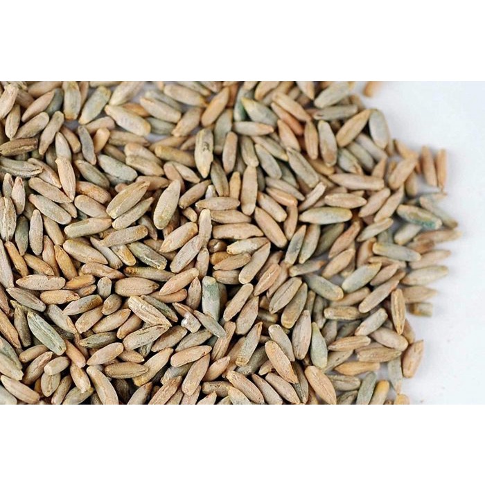 Centeio Em Grãos 5 kg | Shopee Brasil