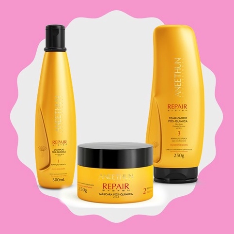 Kit Aneethun Reparador Pós Química Repair System | Shampoo Repair 300ml ...