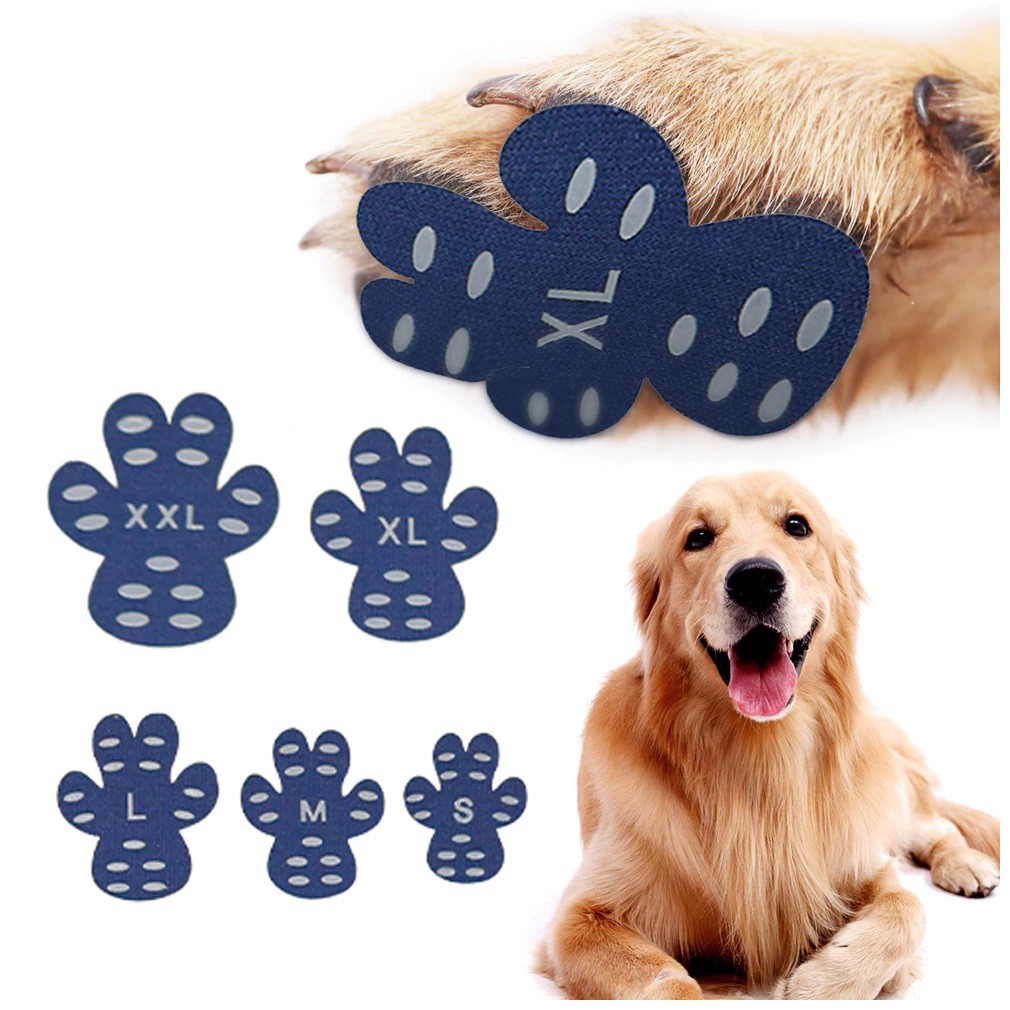 Palmilha Pet Antiderrapante (paw Pads) - Combo 5 Conjuntos L - Melhora ...