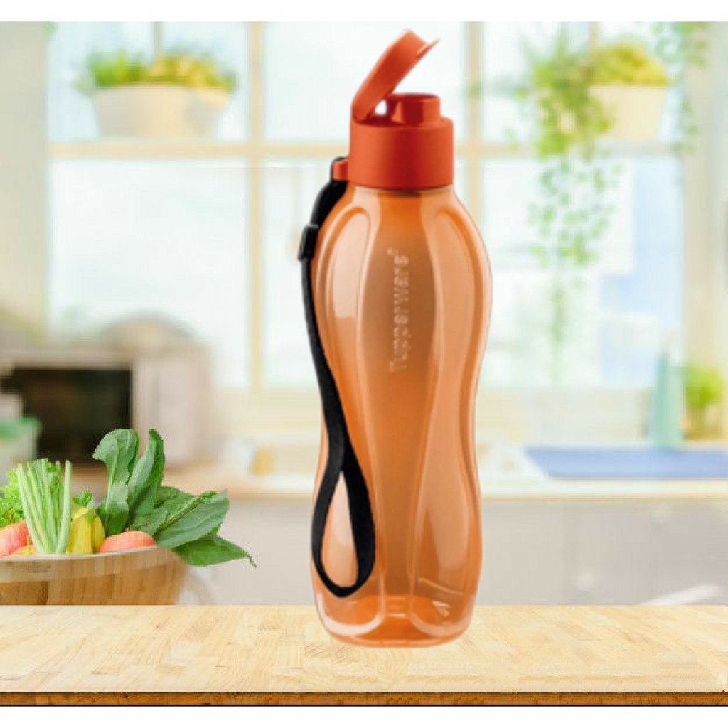 Tupperware Eco Tupper 500ml Laranja | Shopee Brasil