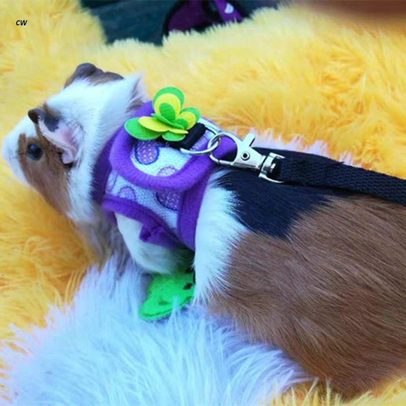 cw Hamster Harness Colete Ajustável Set Leash Para Guinea Chinchila ...