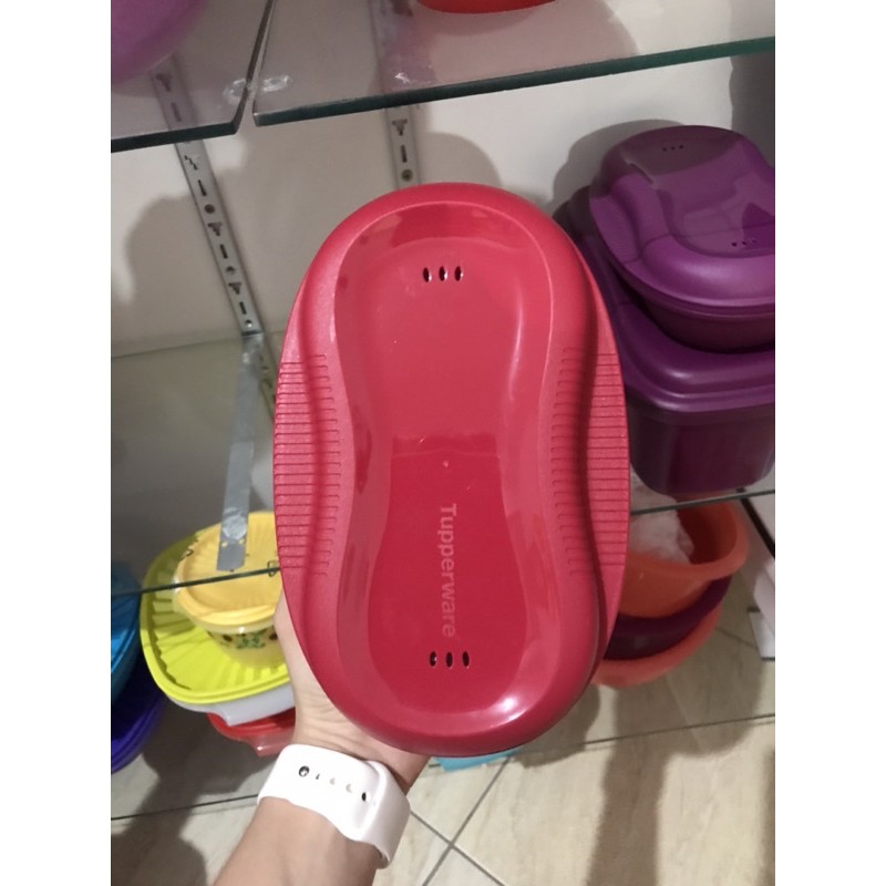 egg marsala tupperware | Shopee Brasil