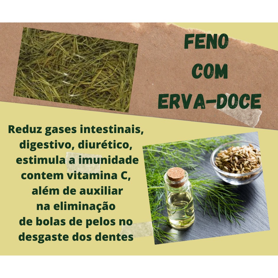 Kit 3 Fenos Tipo A Premium com Erva-doce Little Dreams | Shopee Brasil