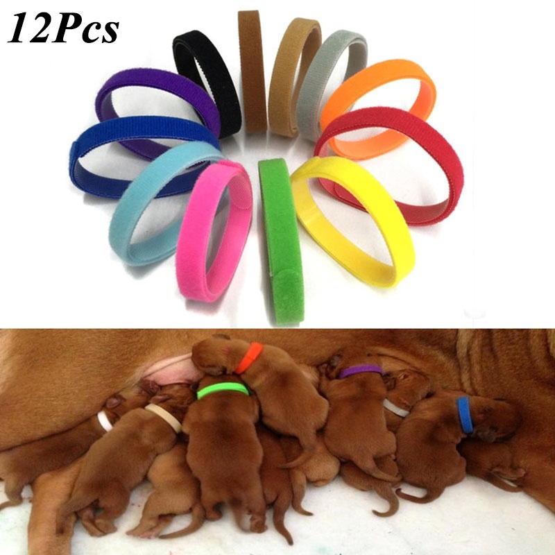 12 Pieces/set Adjustable Nylon Puppy Identification Collar Newly ...