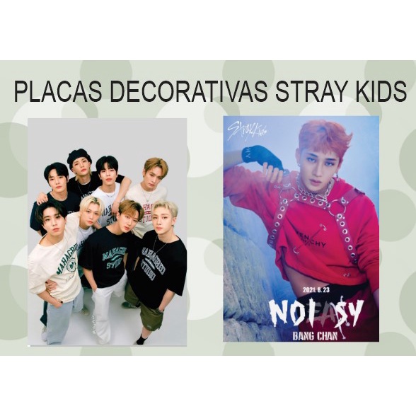 Placa Decorativa Stray Kids | Shopee Brasil