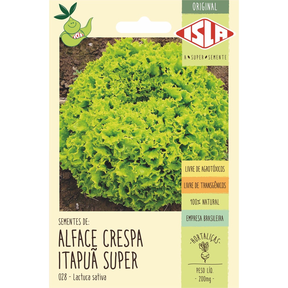 Sementes de Alface Crespa, Lisa, Mimosa, Quatro Estações - Semente Isla ...