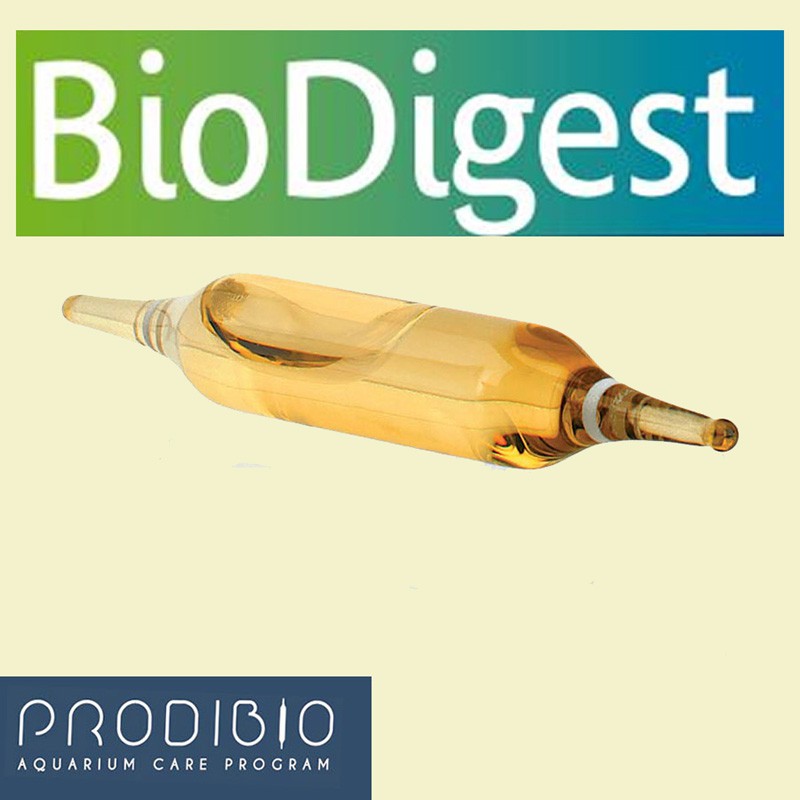 Prodibio Biodigest 1 ampola acelerador biologico aquarios | Shopee Brasil